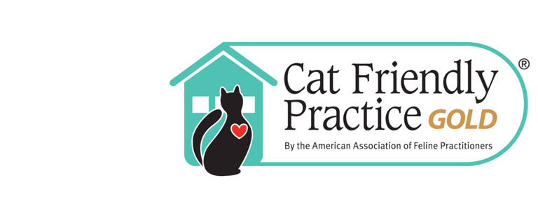 Understanding the BRAF Test for Dogs: A Guide for Pet Owners