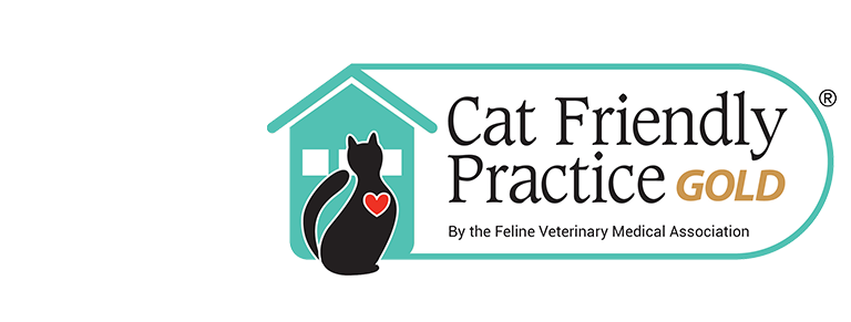 The 4Dx Test for Dogs: What Pet Owners Should Know from Vets